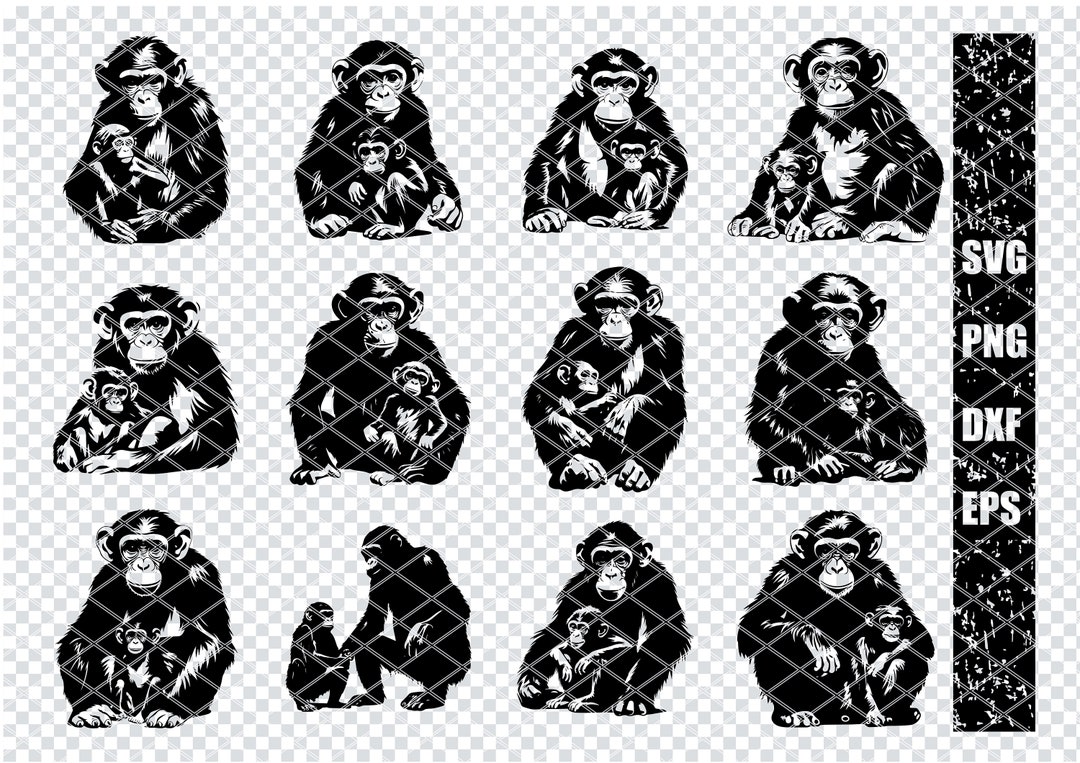 CHIMPANZEE APE SVG, Chimpanzee Primate Svg Files for Cricut, Chimpanzee ...