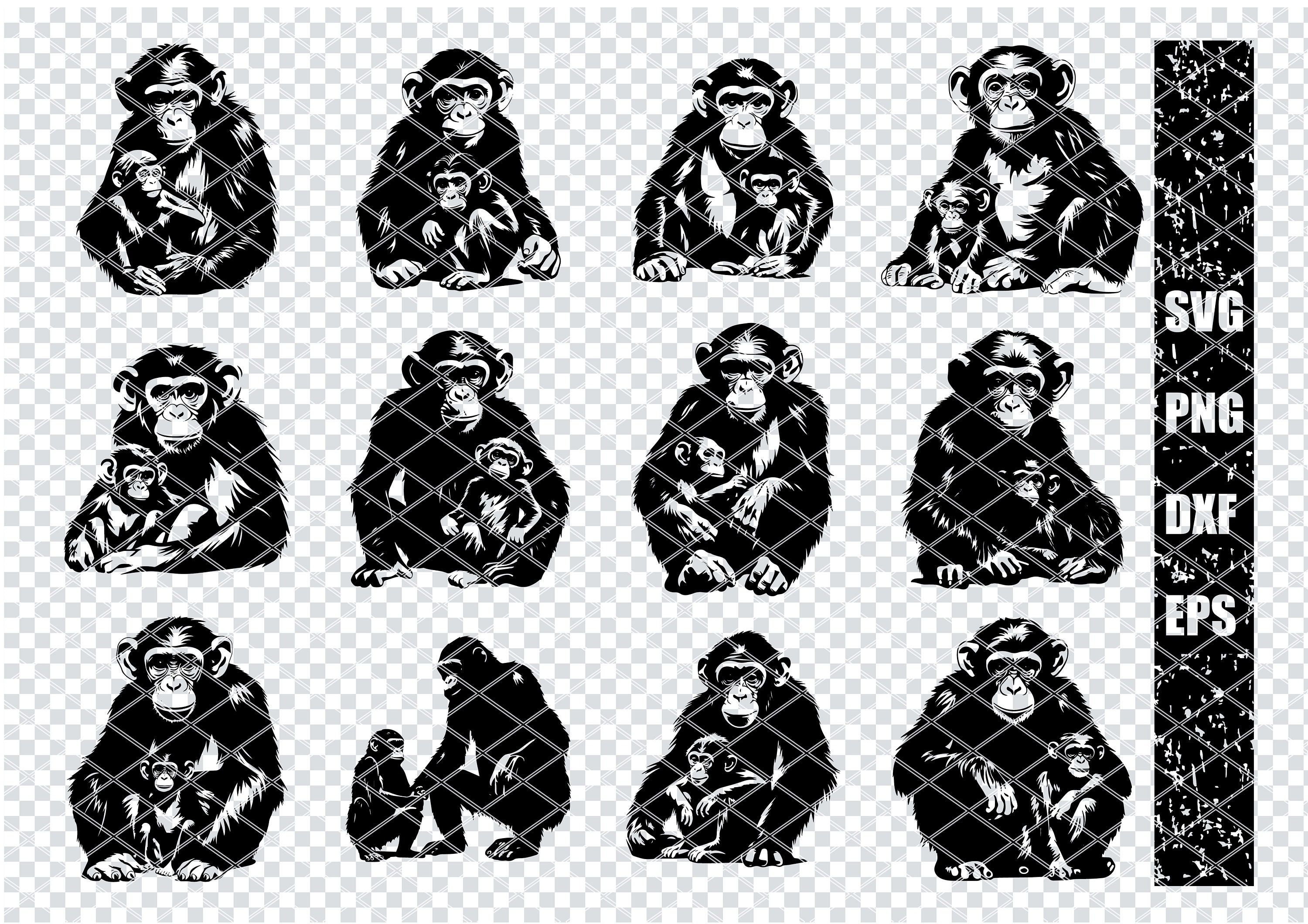 CHIMPANZEE APE SVG, Chimpanzee Primate Svg Files for Cricut, Chimpanzee ...