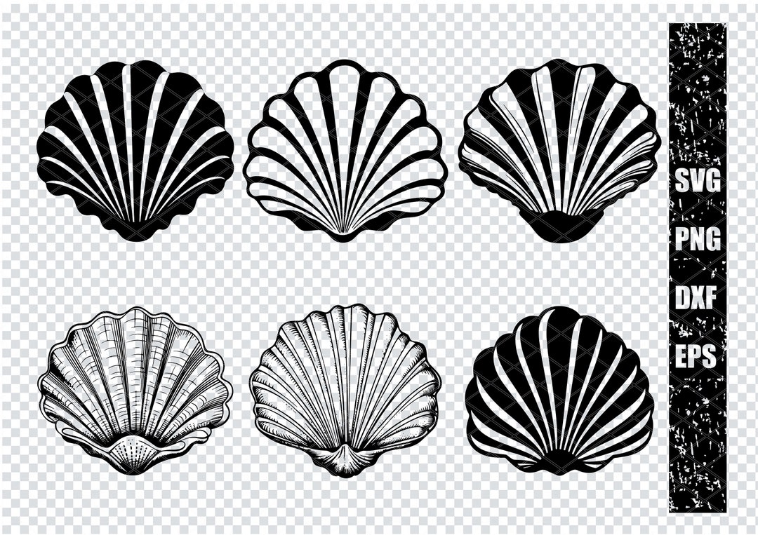 SEASHELL SVG, SEASHELL Svg Files for Cricut, Seashell Clipart, Seashell ...