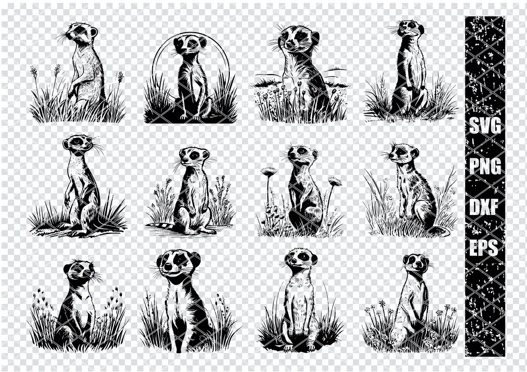 MEERKAT SVG, MONGOOSE Svg Files for Cricut, Wild Suricate Mammal ...