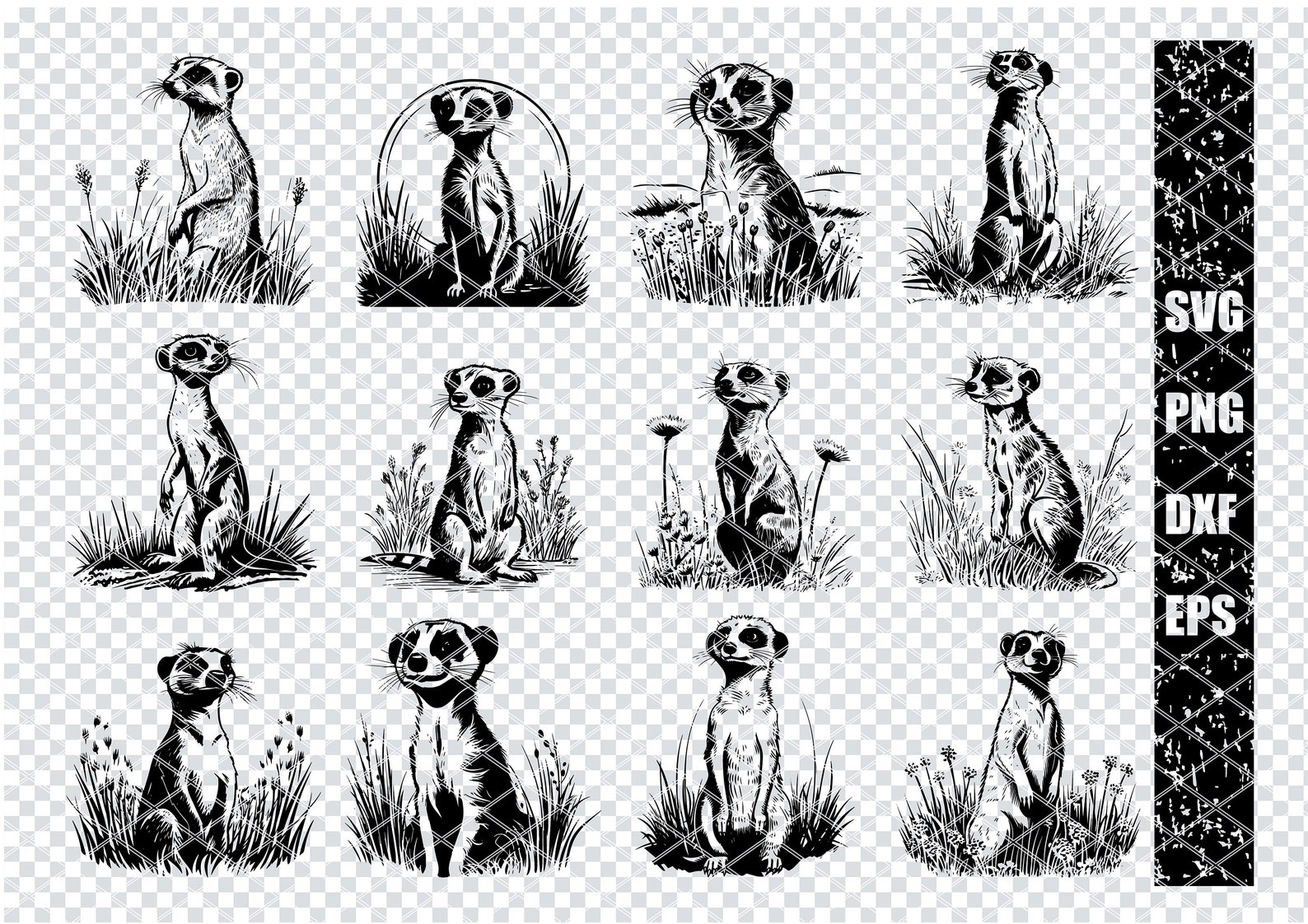 MEERKAT SVG, MONGOOSE Svg Files for Cricut, Wild Suricate Mammal ...