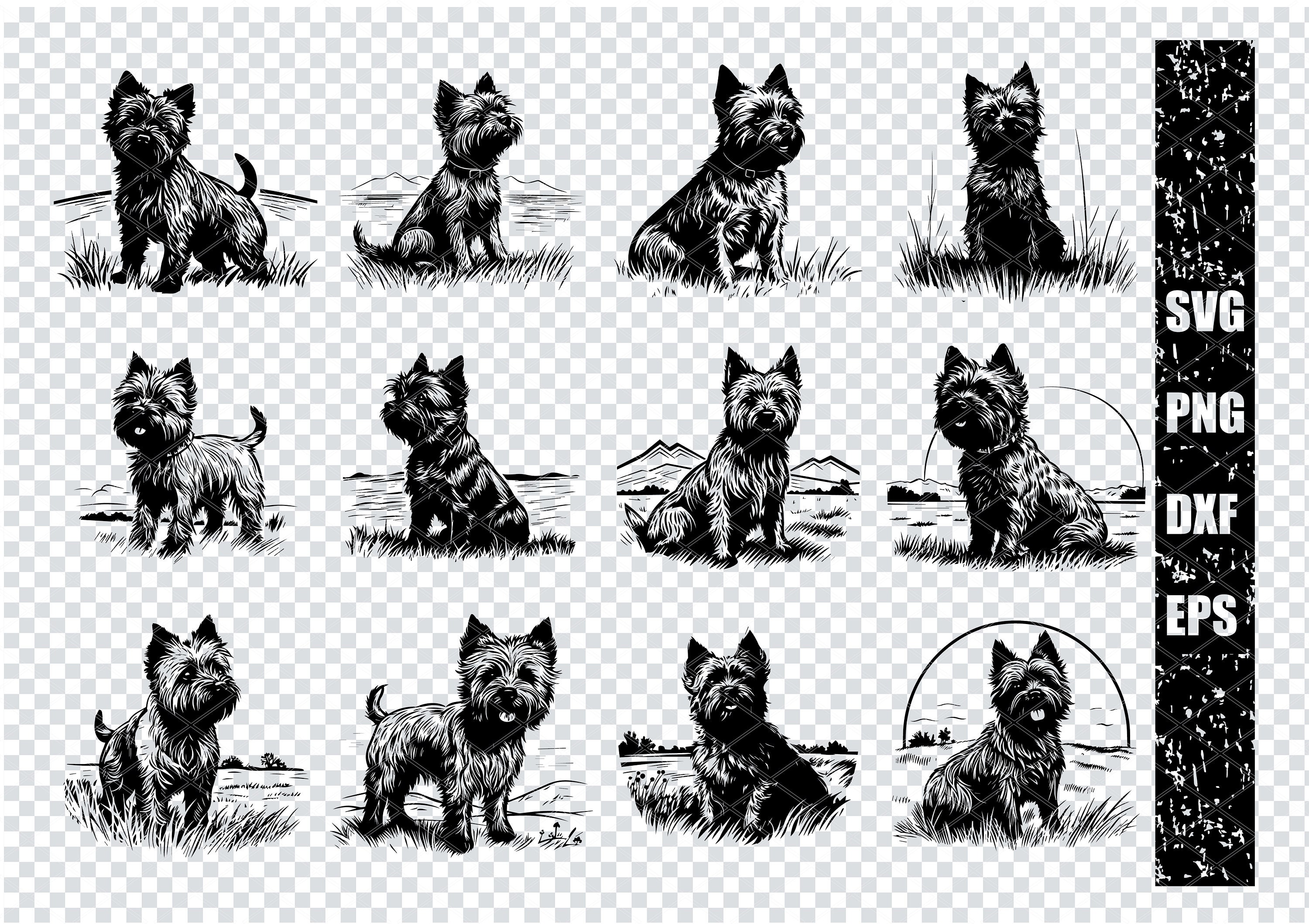 CAIRN TERRIER SVG, Cairn Terrier Clipart, Cairn Terrier Svg Files for ...