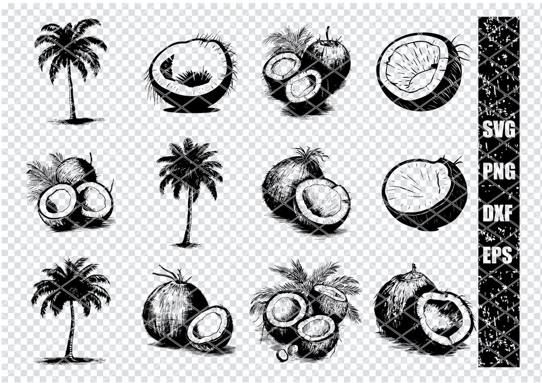 COCONUT SVG, COCONUT Svg Files for Cricut, Coconut Clipart, Laser Cut ...