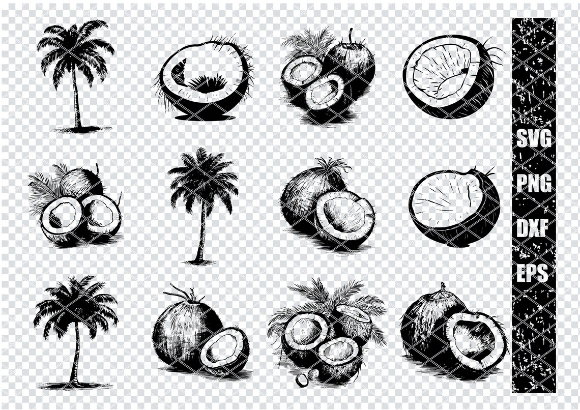 COCONUT SVG, COCONUT Svg Files for Cricut, Coconut Clipart, Laser Cut ...