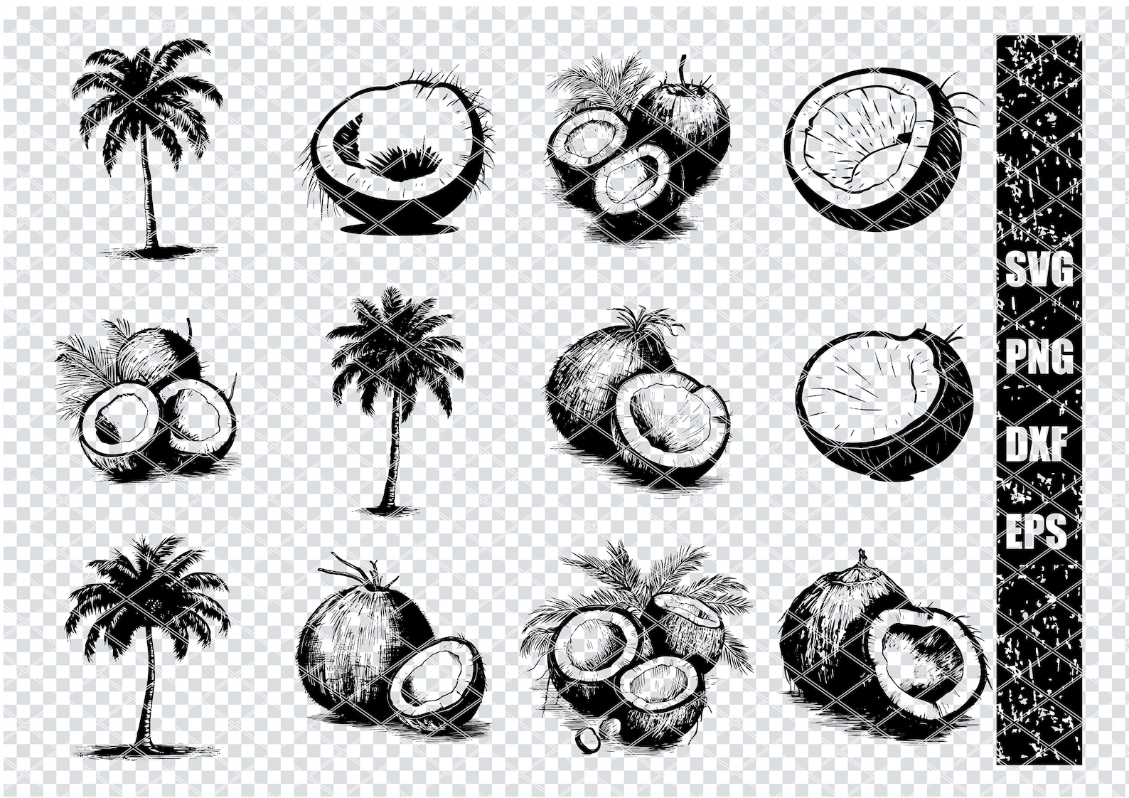 COCONUT SVG, COCONUT Svg Files for Cricut, Coconut Clipart, Laser Cut ...