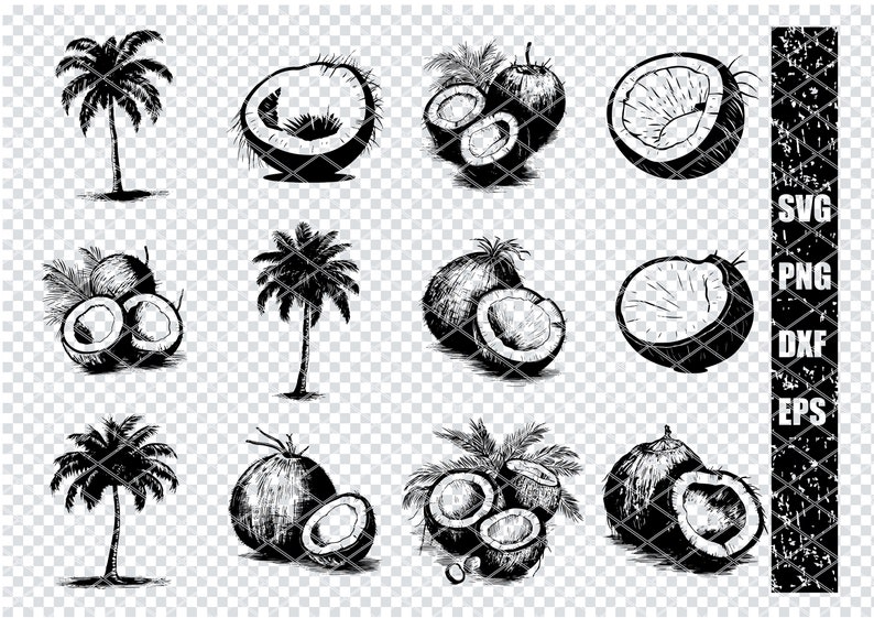 COCONUT SVG, COCONUT Svg Files for Cricut, Coconut Clipart, Laser Cut ...