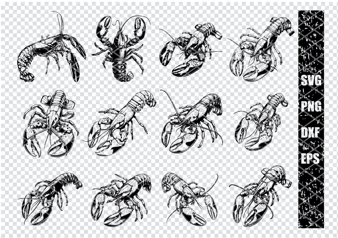 LOBSTER SVG, LOBSTER Svg Files for Cricut, Lobster Clipart, Laser Cut ...