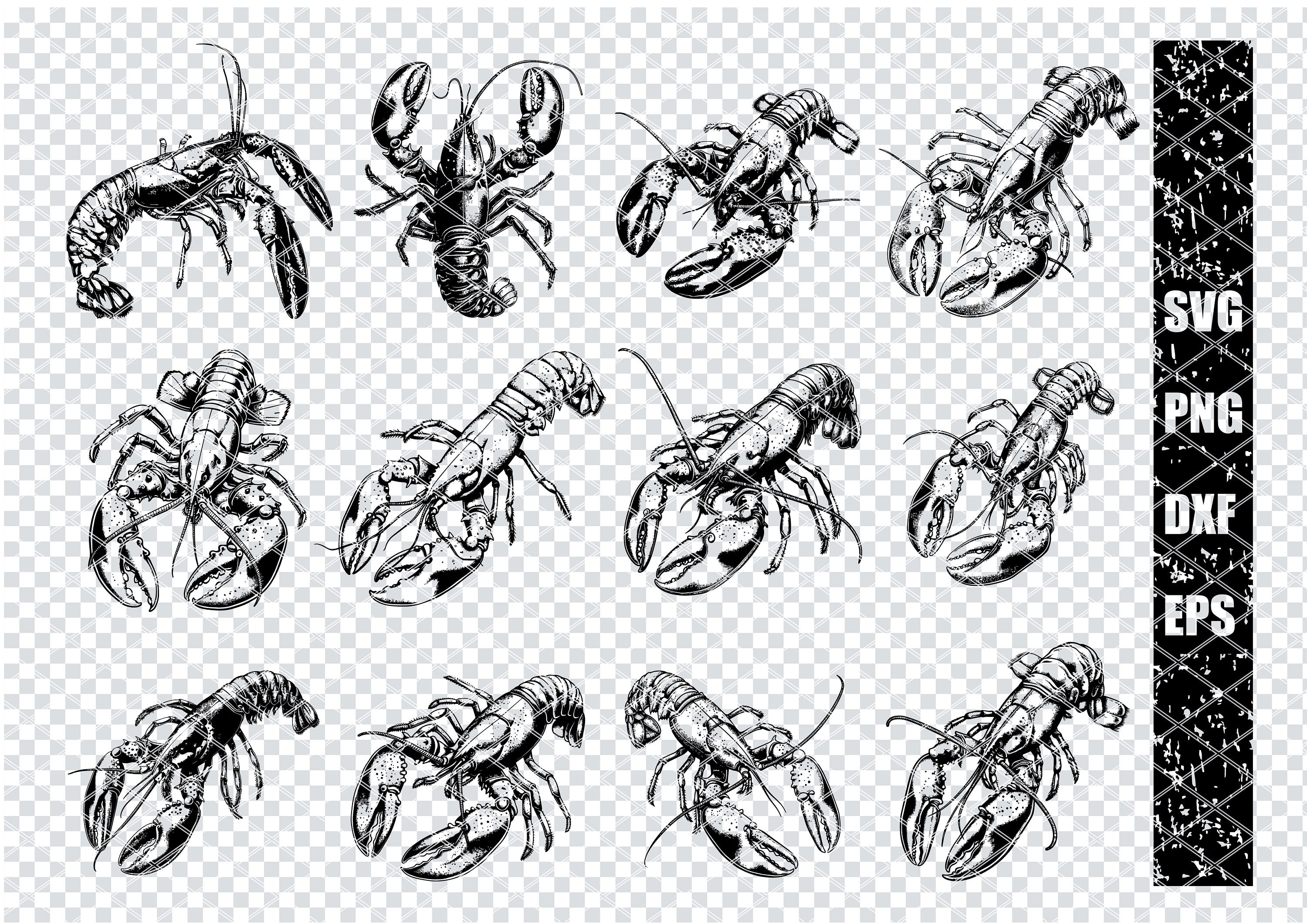 LOBSTER SVG, LOBSTER Svg Files for Cricut, Lobster Clipart, Laser Cut ...