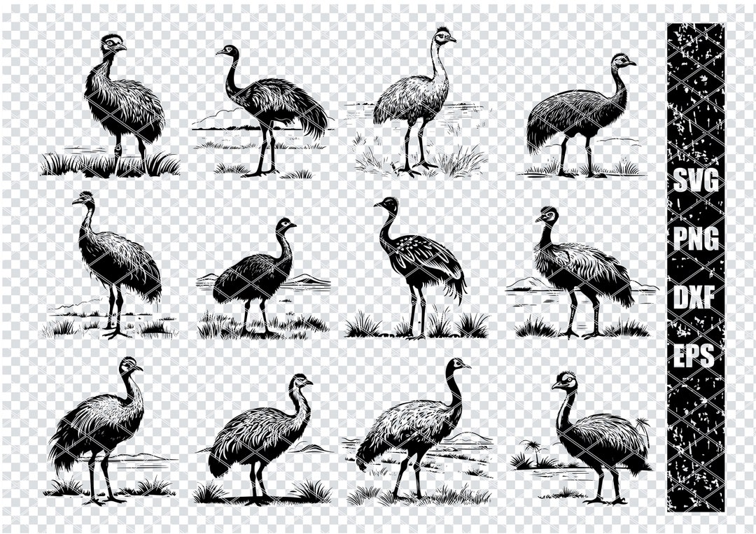 EMU BIRD SVG, Emu Large Bird Svg Files for Cricut, Emu Bird Clipart ...