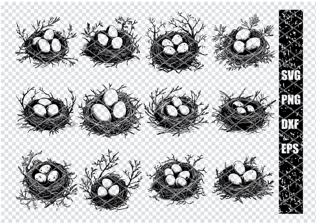BIRD NEST EGGS Svg, Twig Bird Nest Svg Files for Cricut, Bird Nest ...