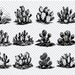 SAGUARO PRICKLY Pear CACTUS Svg, Barrel Cactus Svg Files for Cricut ...