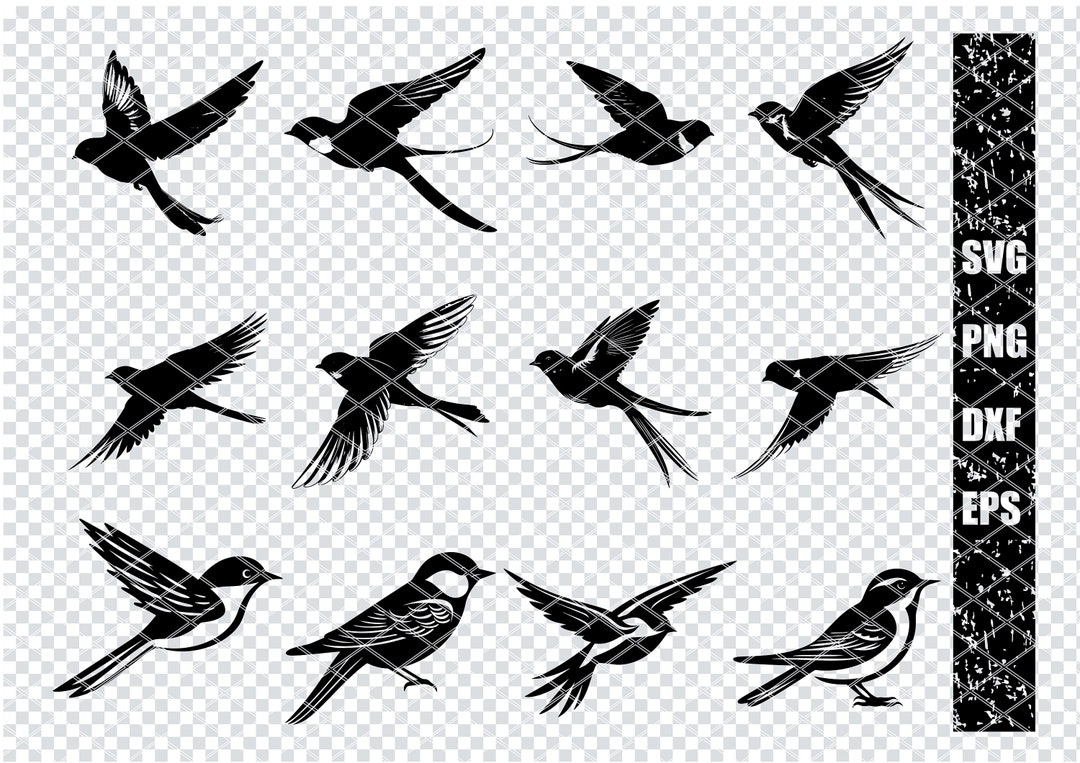 SWALLOW BIRD SVG, Swallow Bird Svg Files for Cricut, Swallow Bird ...