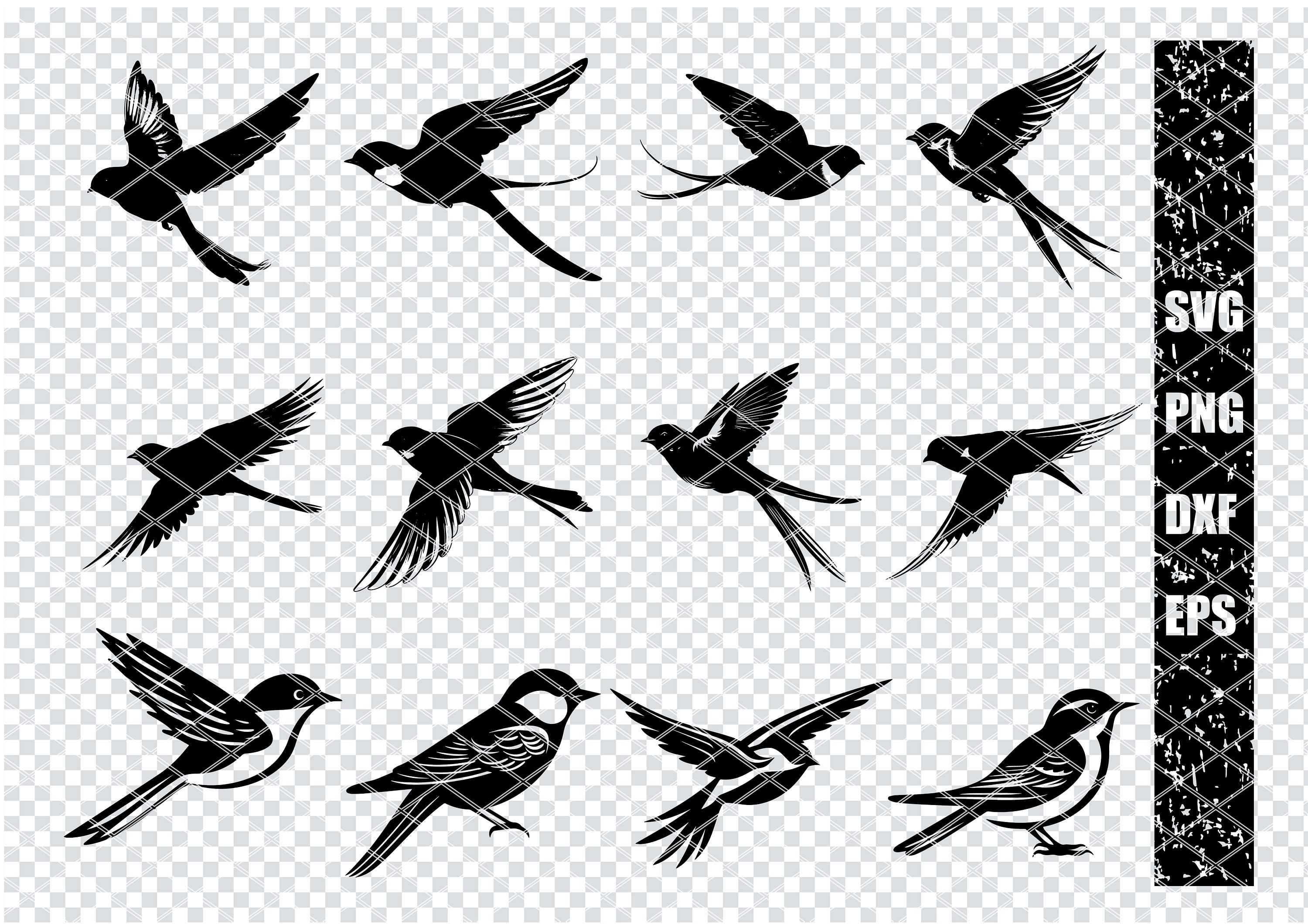 SWALLOW BIRD SVG, Swallow Bird Svg Files for Cricut, Swallow Bird ...