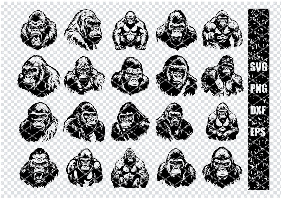 SILVERBACK GORILLA SVG, Silverback Gorilla Svg Files for Cricut ...