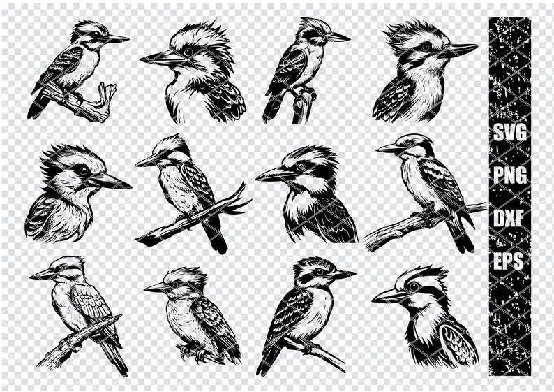 KOOKABURRA BIRD SVG, Kookaburra Svg Files for Cricut, Kookaburra ...