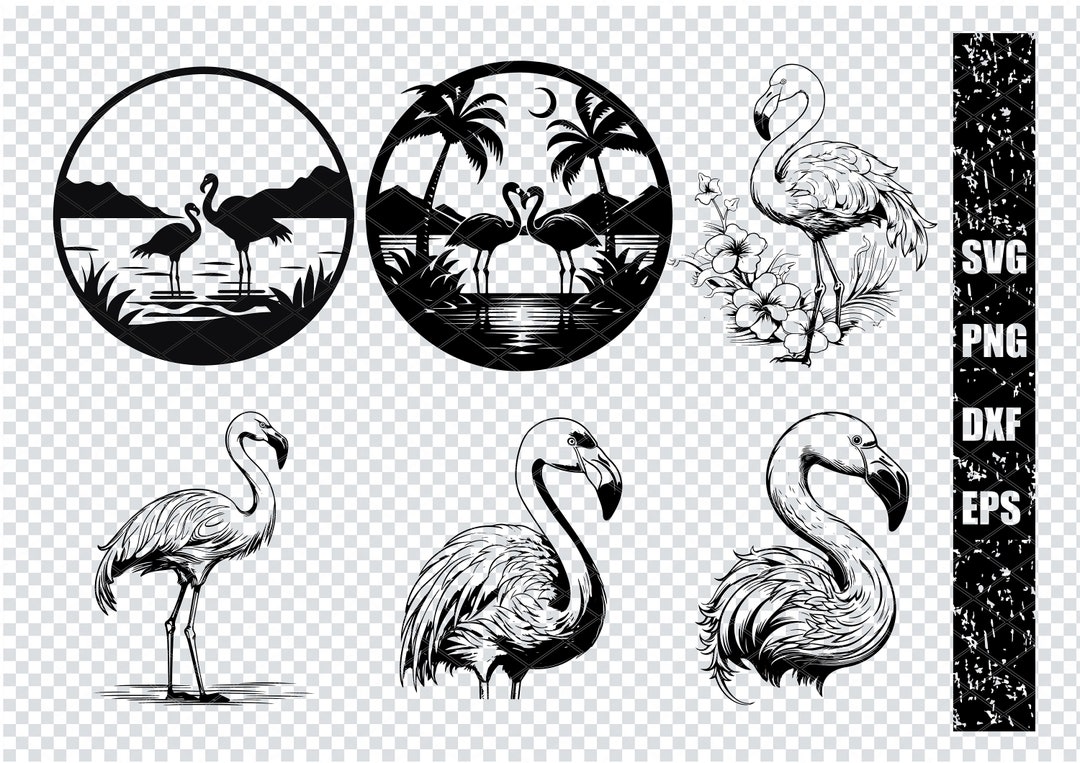 FLAMINGO Bundle SVG, FLAMINGO Clipart, Flamingo Silhouette Svg ...