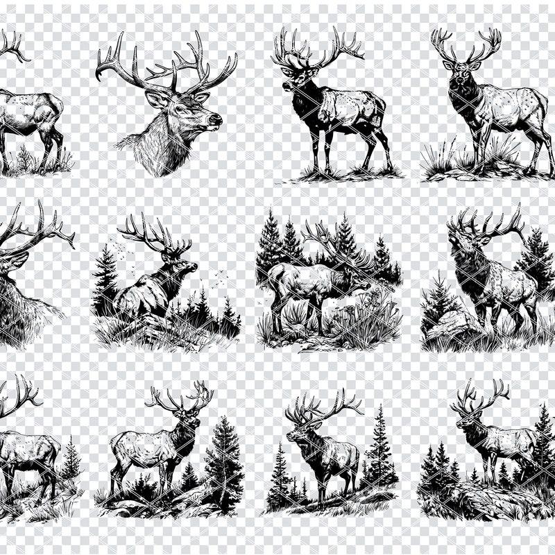 Elk Template - Etsy