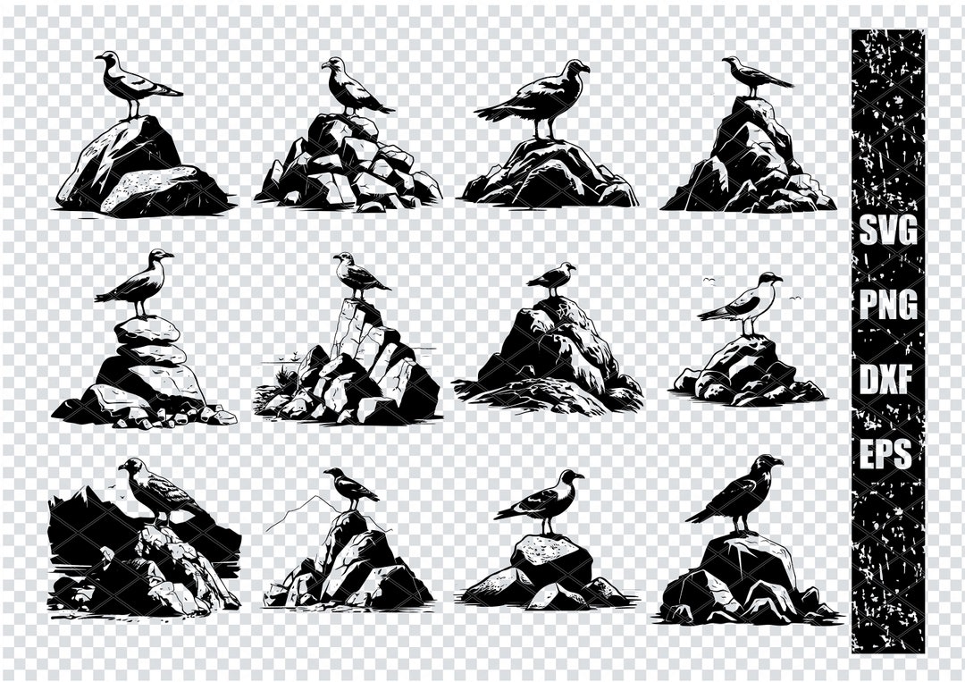 SEAGULL BIRD SVG, Sea Bird Svg Files for Cricut, Seagull Clipart ...