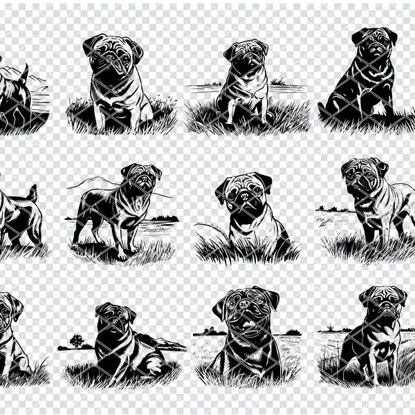 Pug Svg - Etsy