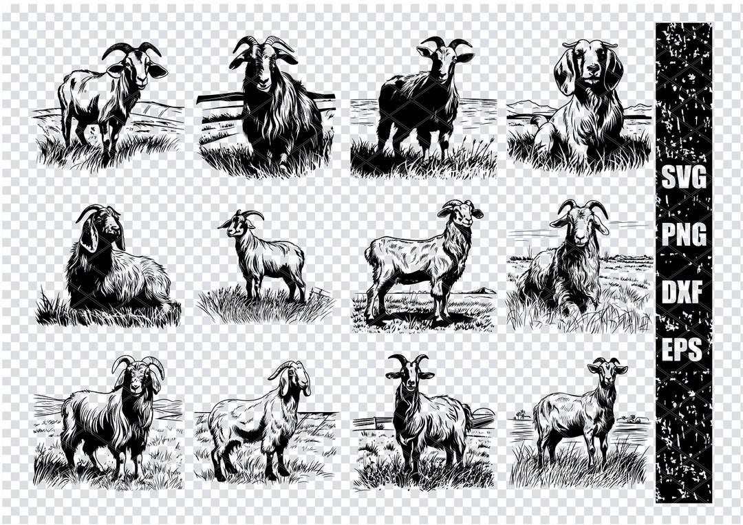BOER MEAT GOAT Svg, Boer Meat Goat Svg Files for Cricut, Goat Breed ...