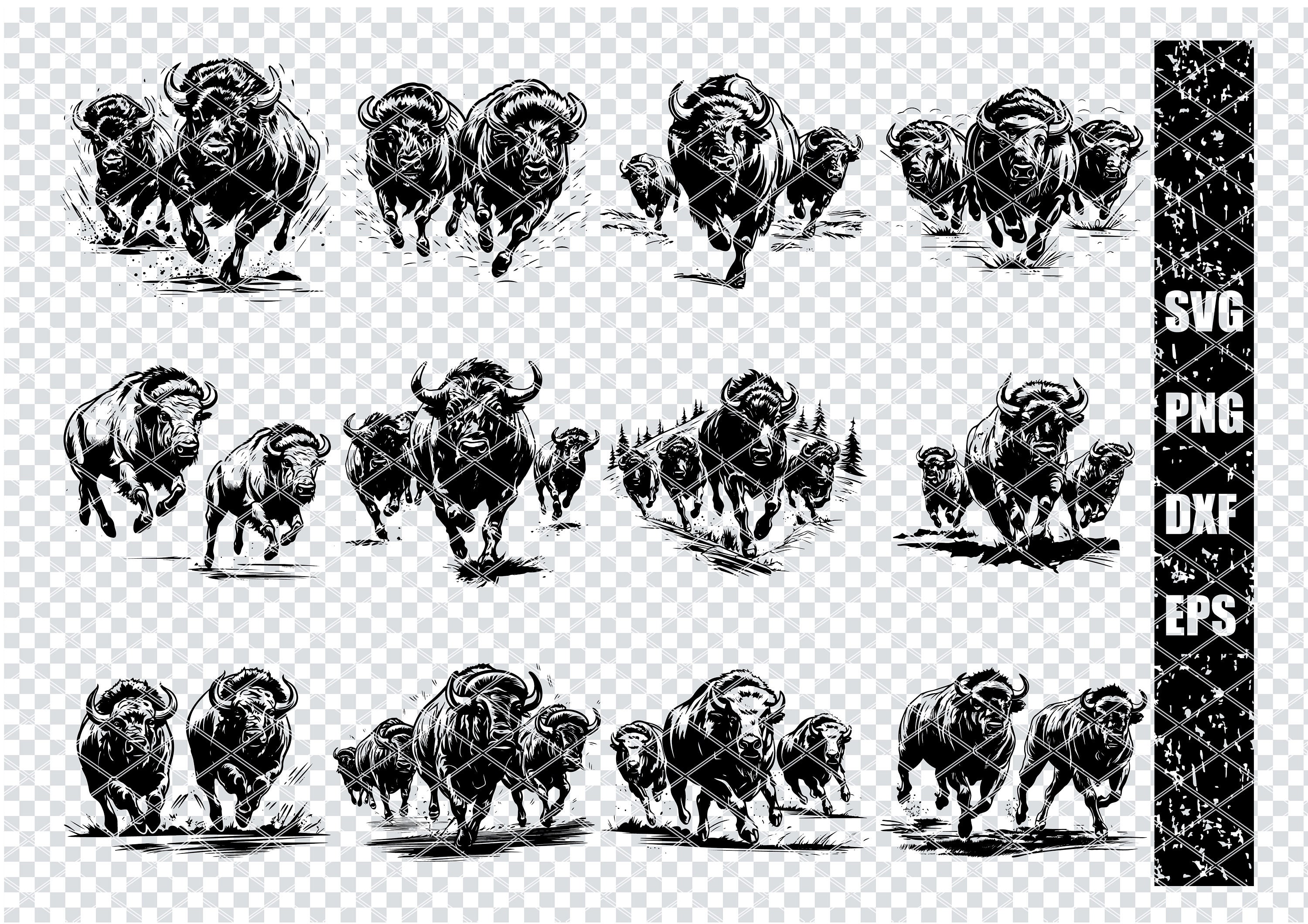 AMERICAN BISON CHARGE Svg, Buffalo Gallop Svg Files for Cricut, Bison ...