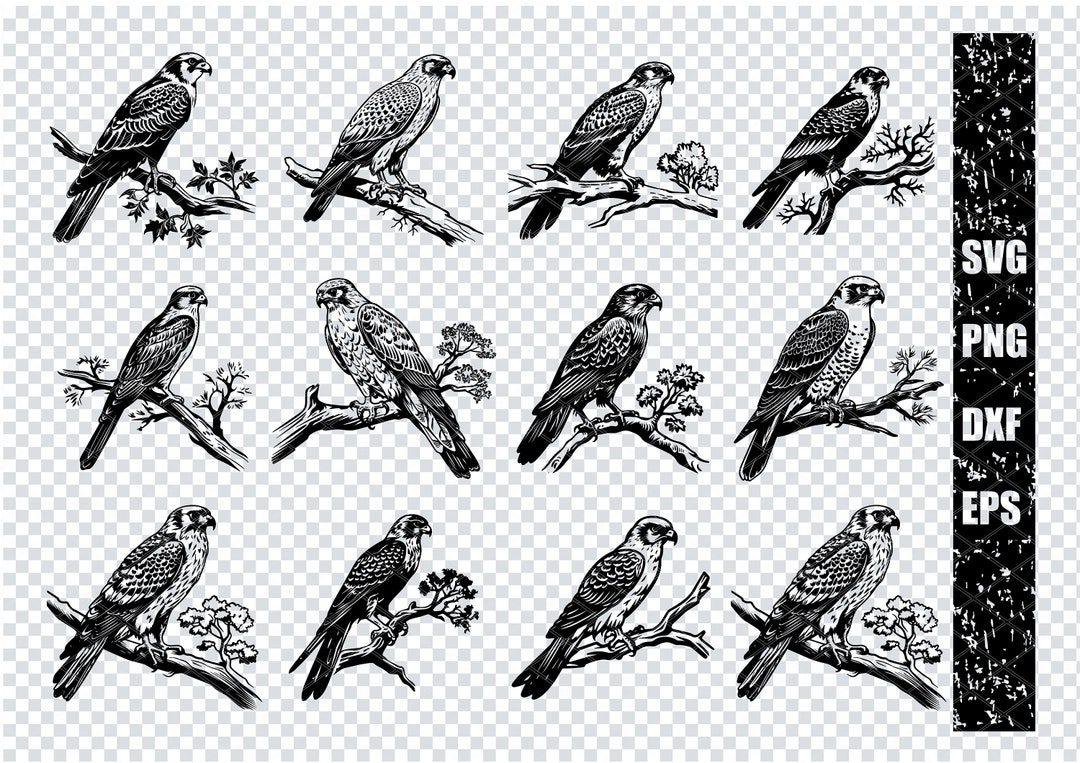 FALCON SVG, FALCON Clipart, Falcon Svg Files for Cricut, Camping Svg ...