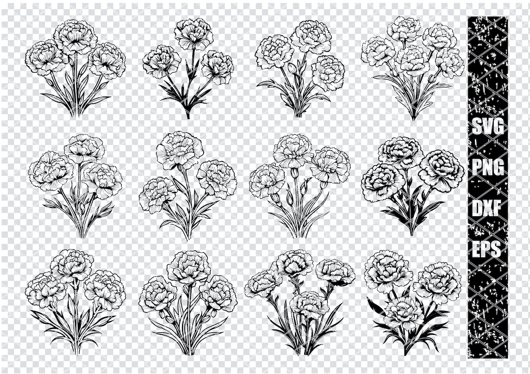 CARNATION FLOWER BLOOMS Svg, Carnation Bouquet Svg Files for Cricut ...