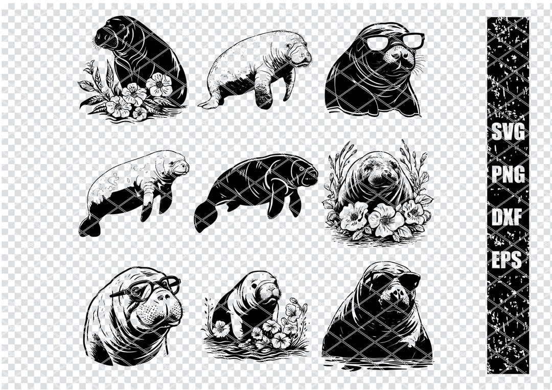 MANATEE SVG, MANATEE Mammal Svg Files for Cricut, Manatee Clipart ...