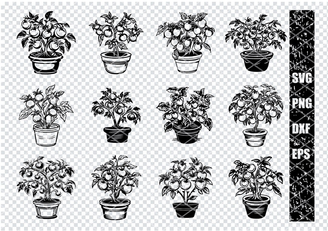 TOMATO PLANT SVG, Tomato Fruit Svg Files for Cricut, Tomato Plant in ...