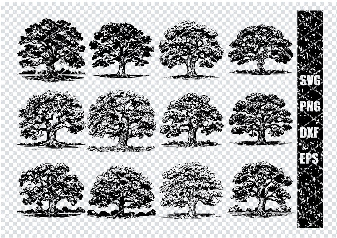 OAK TREE SVG, Oak Tree Svg Files for Cricut, Oak Tree Hardwood Clipart ...