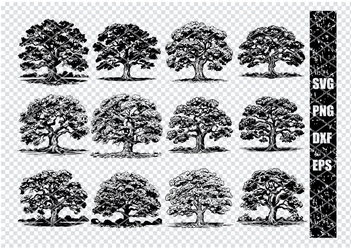 OAK TREE SVG, Oak Tree Svg Files for Cricut, Oak Tree Hardwood Clipart ...