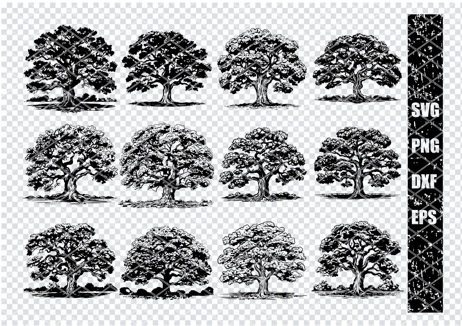 OAK TREE SVG, Oak Tree Svg Files for Cricut, Oak Tree Hardwood Clipart ...