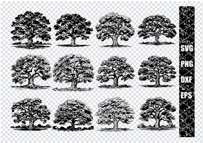 OAK TREE SVG, Oak Tree Svg Files for Cricut, Oak Tree Hardwood Clipart ...