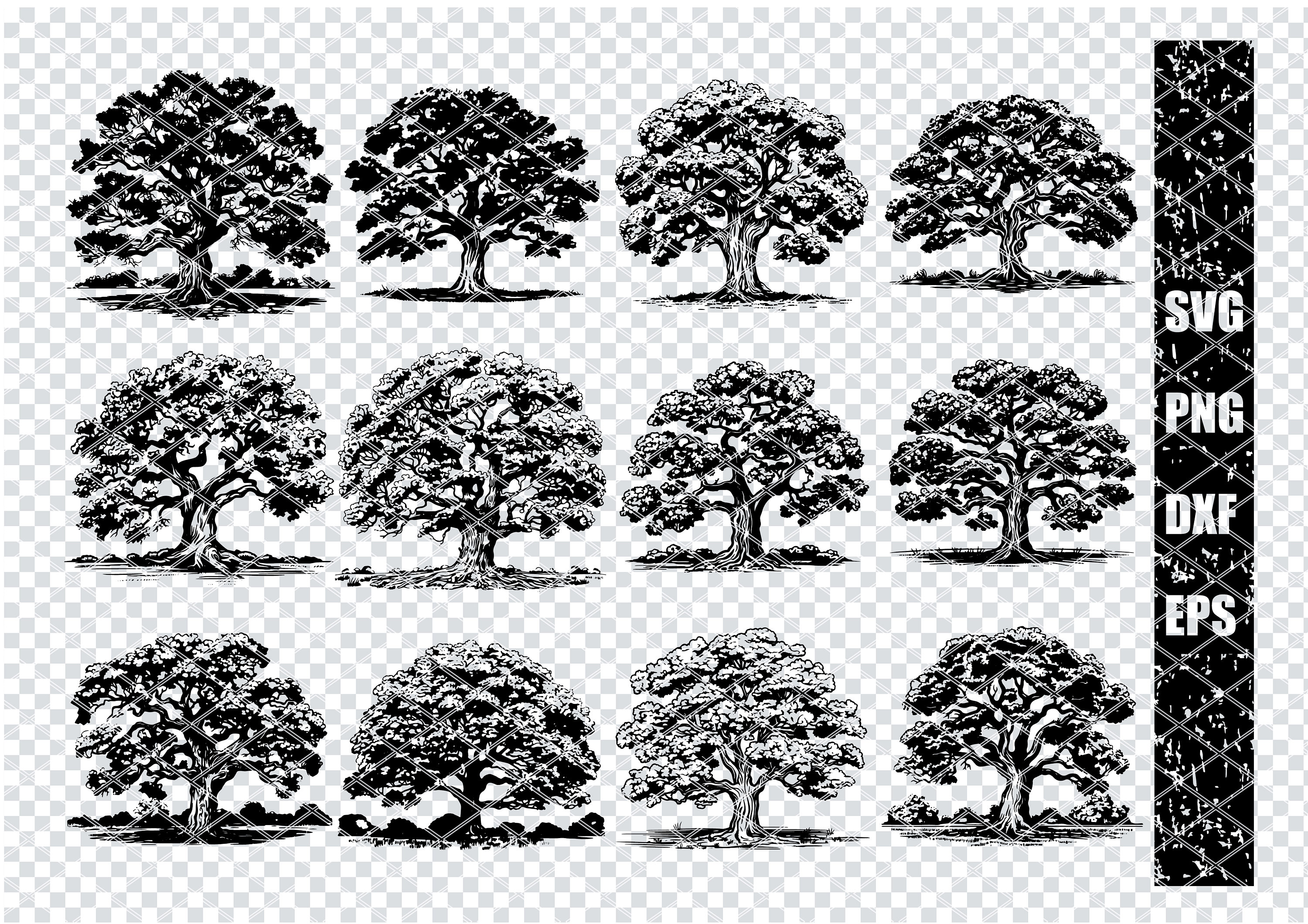 OAK TREE SVG, Oak Tree Svg Files for Cricut, Oak Tree Hardwood Clipart ...