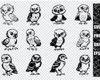 CUTE BABY EAGLE Svg, Eagle Hatchling Svg Files for Cricut, Adorable ...