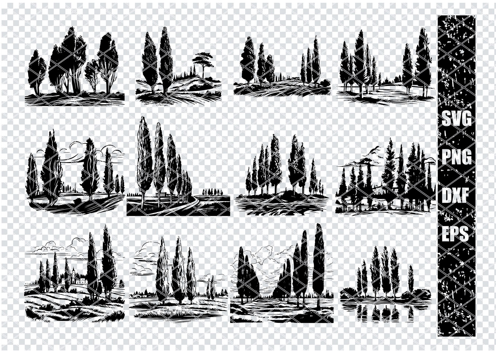 ITALIAN CYPRESS TREE Svg, Tuscany Pine Svg Files for Cricut, Italian ...