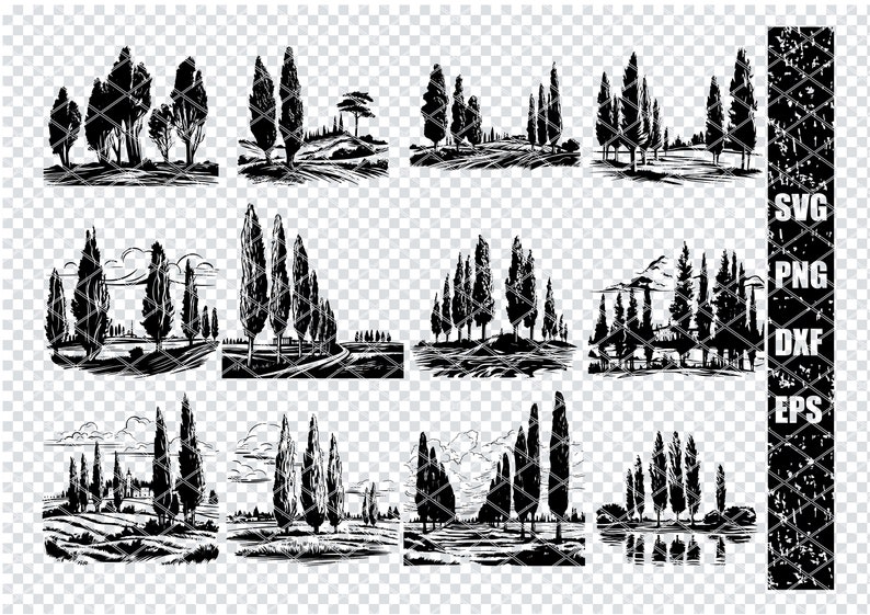 ITALIAN CYPRESS TREE Svg, Tuscany Pine Svg Files for Cricut, Italian ...