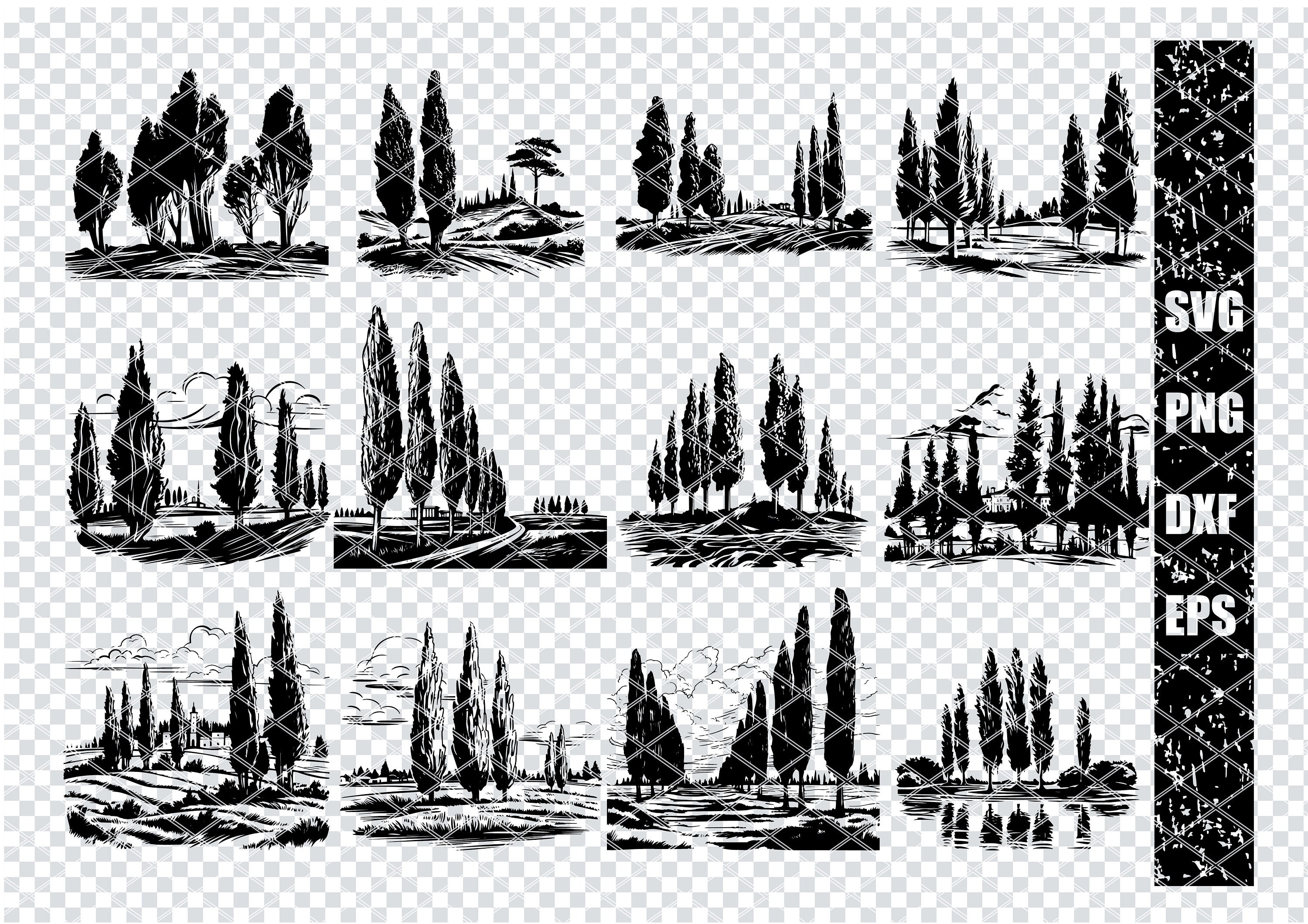 ITALIAN CYPRESS TREE Svg, Tuscany Pine Svg Files for Cricut, Italian ...