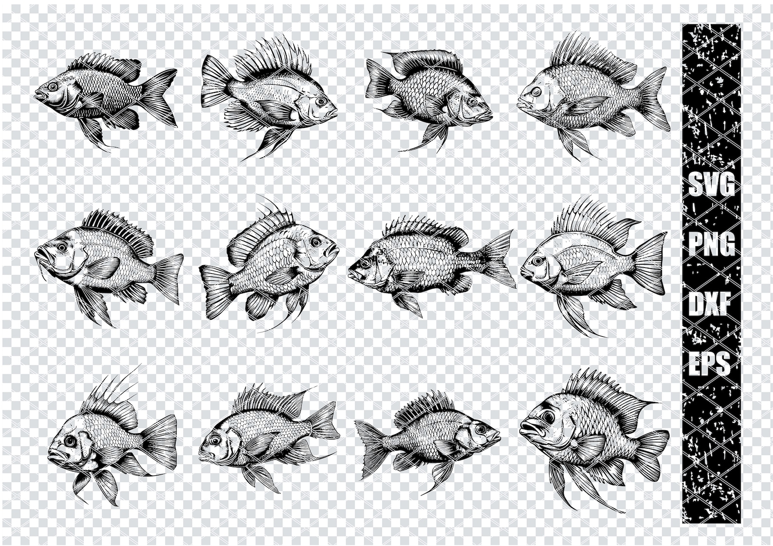 TILAPIA FISH SVG, Tilapia Fish Svg Files for Cricut, Tilapia Fish ...