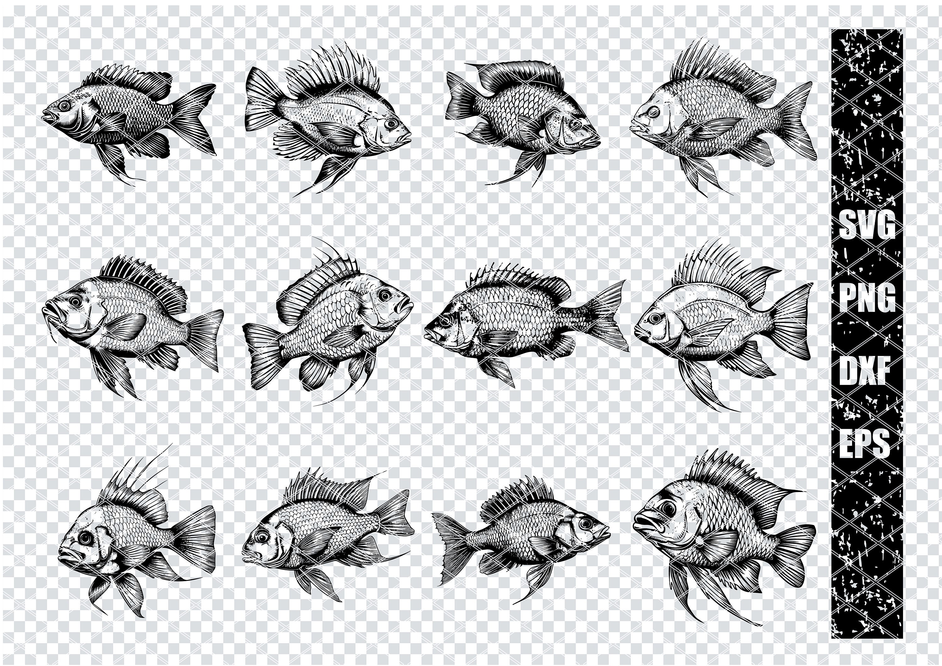 TILAPIA FISH SVG, Tilapia Fish Svg Files for Cricut, Tilapia Fish ...