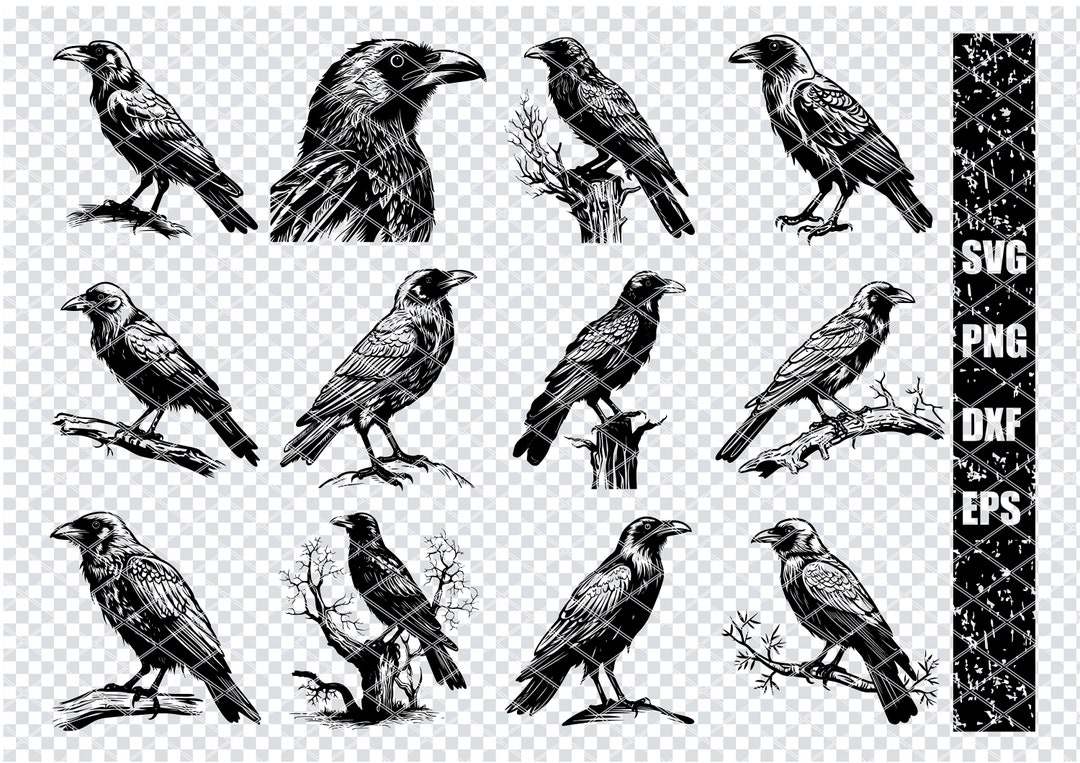 RAVEN SVG, CROW Svg Svg Files for Cricut, Eerie Crow Clipart, Laser Cut ...