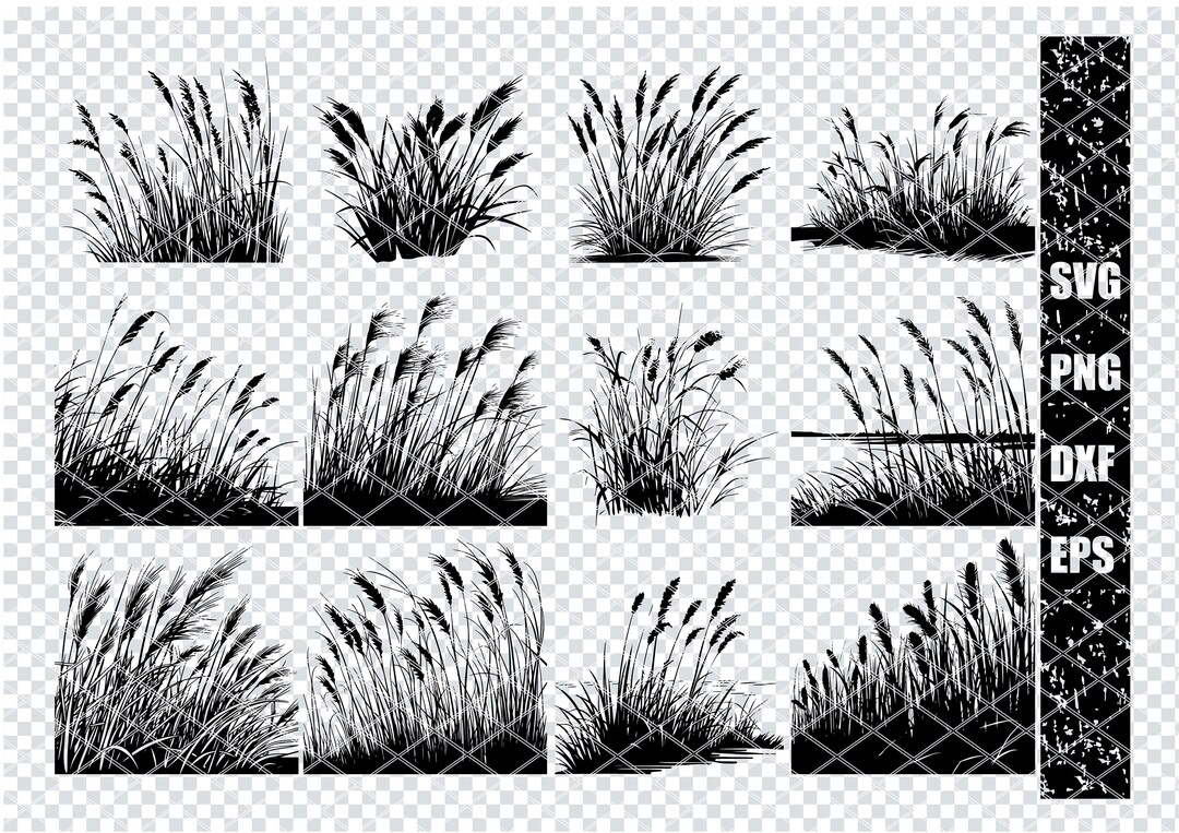 REED CANE MARSH Svg, Reed Cane Grass for Cricut, Water Reed Cane ...