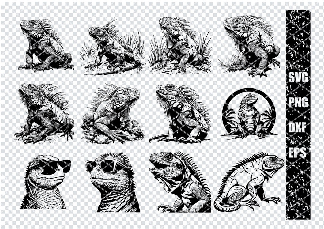 IGUANA SVG, IGUANA Lizzard Svg Files for Cricut, Iguana Lizzard Clipart ...