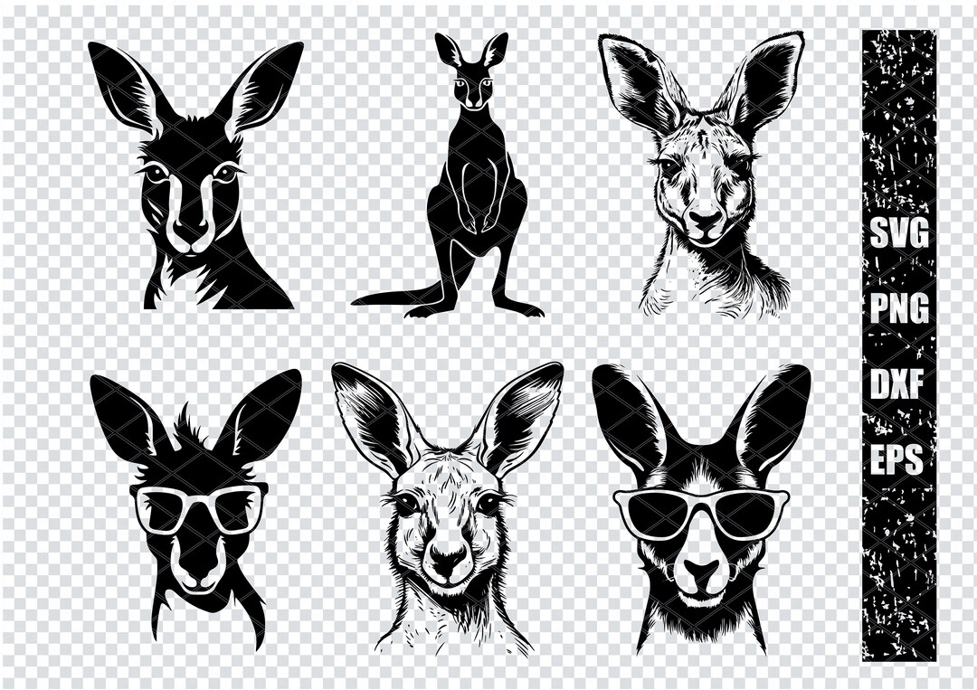 KANGAROO SVG, KANGAROO Svg Files for Cricut, Kangaroo Clipart, Kangaroo ...