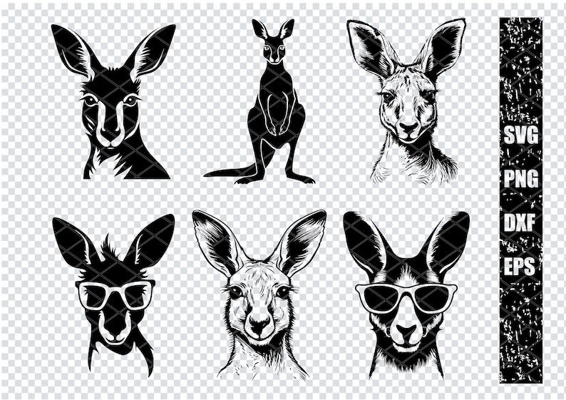 KANGAROO SVG, KANGAROO Svg Files for Cricut, Kangaroo Clipart, Kangaroo ...