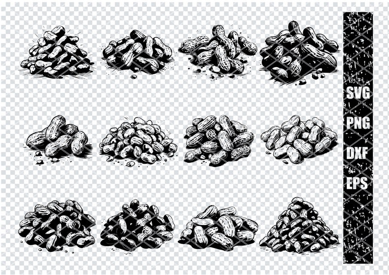 GROUNDNUT PEANUT SVG, Peanut Svg Files for Cricut, Peanut Snack Clipart ...