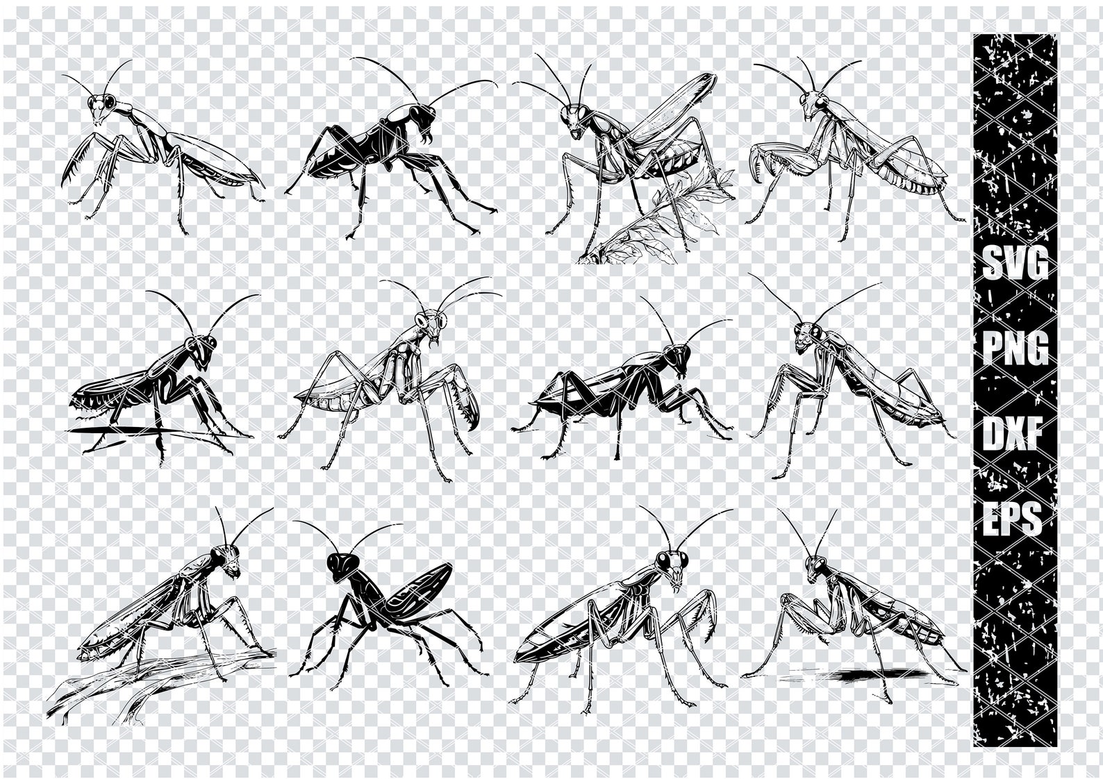 PRAYING MANTIS SVG, Praying Mantis Bug Svg Files for Cricut, Praying ...