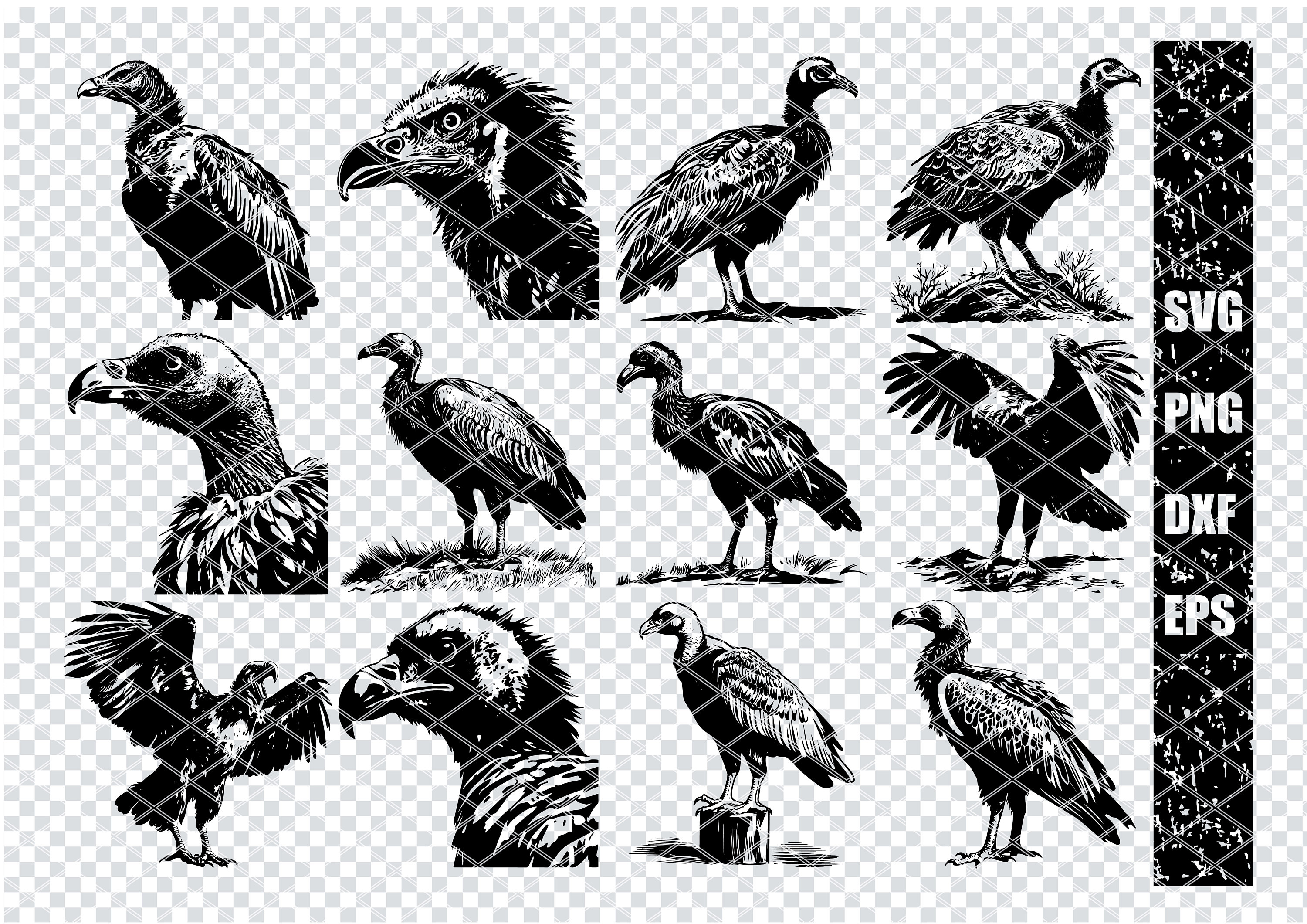 VULTURE SVG, VULTURE Svg Files for Cricut, Vulture Clipart, Laser Cut ...