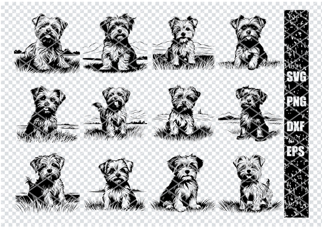 MORKIE DOG Svg, Morkie Dog Breed Svg Files for Cricut, Dog Lover ...