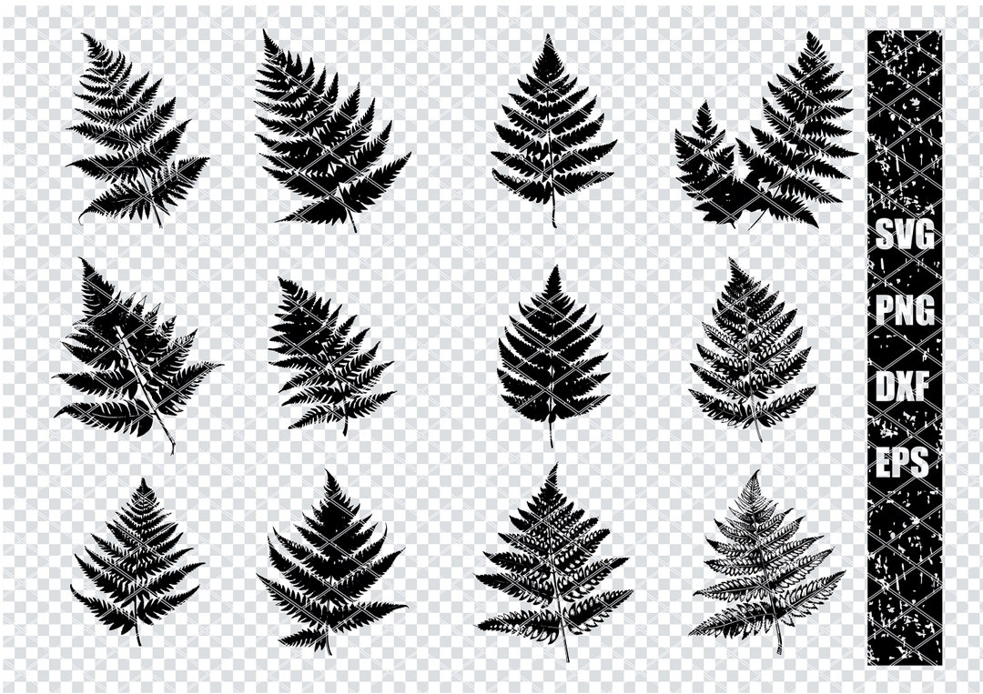 FERN SVG, FERN Svg Files for Cricut, Fern Clipart, Laser Cut Files - Etsy